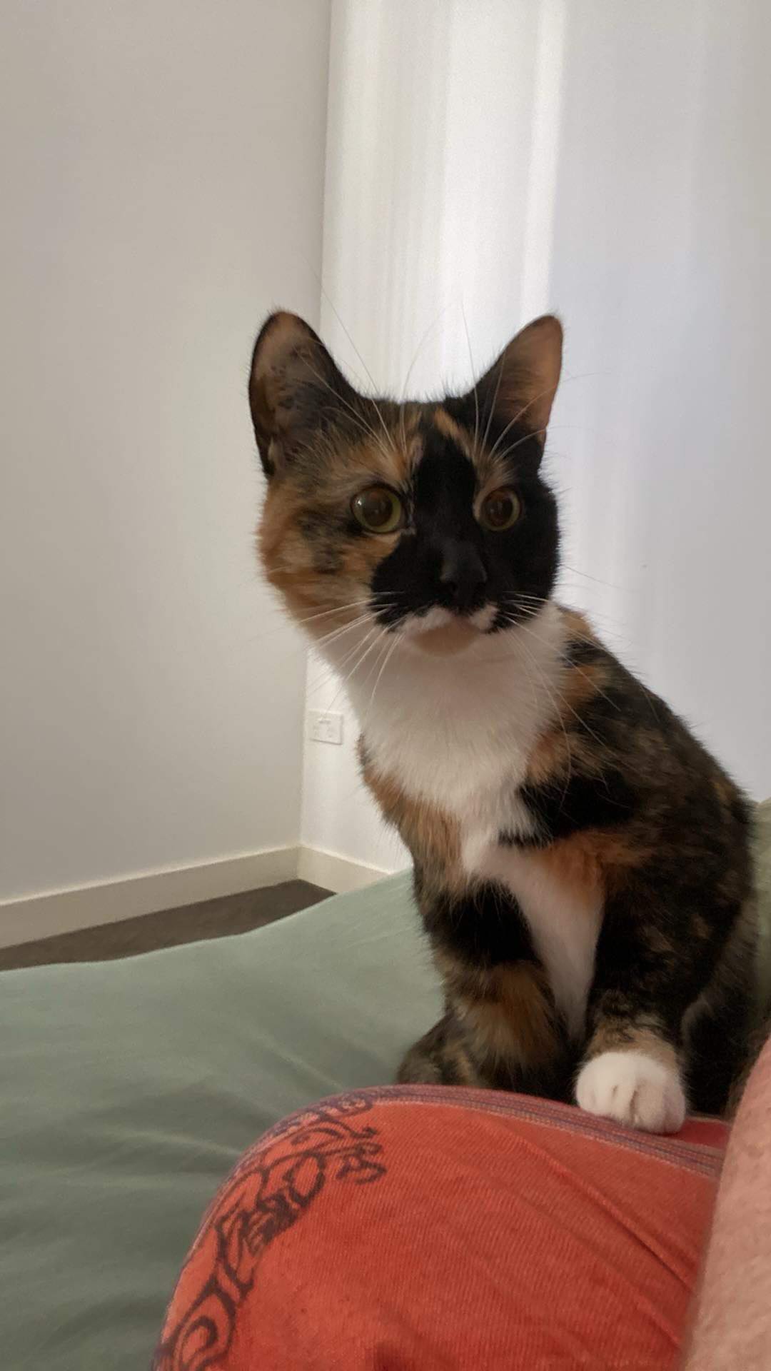 Kyle's Portfolio Site